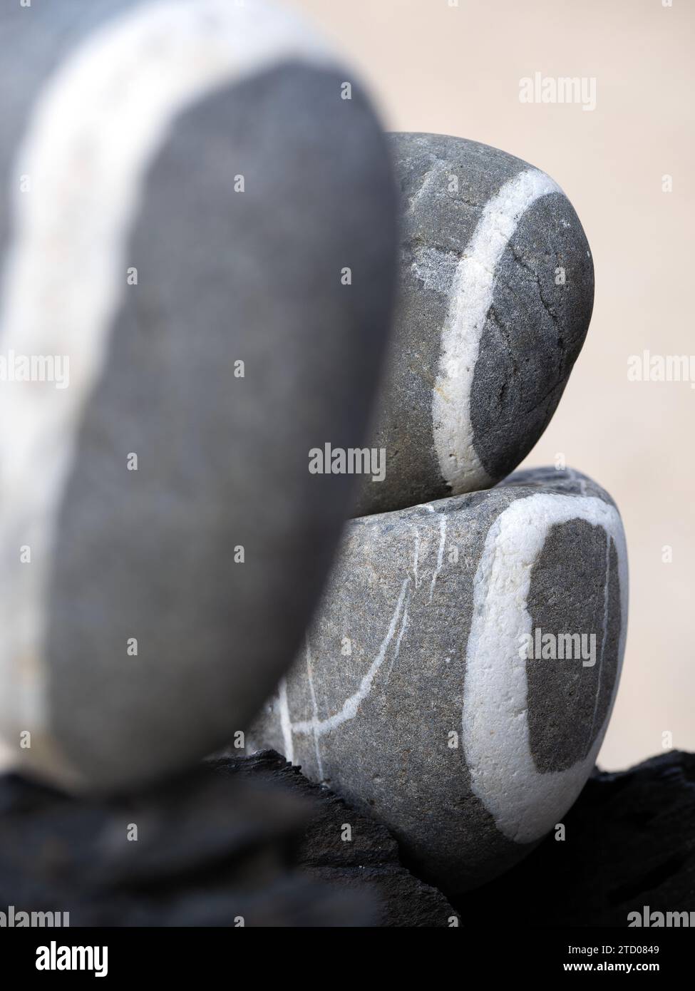 Rare Huge Wishing Stone with Beautiful Quartzite Line, Cavaleiro Stock ...