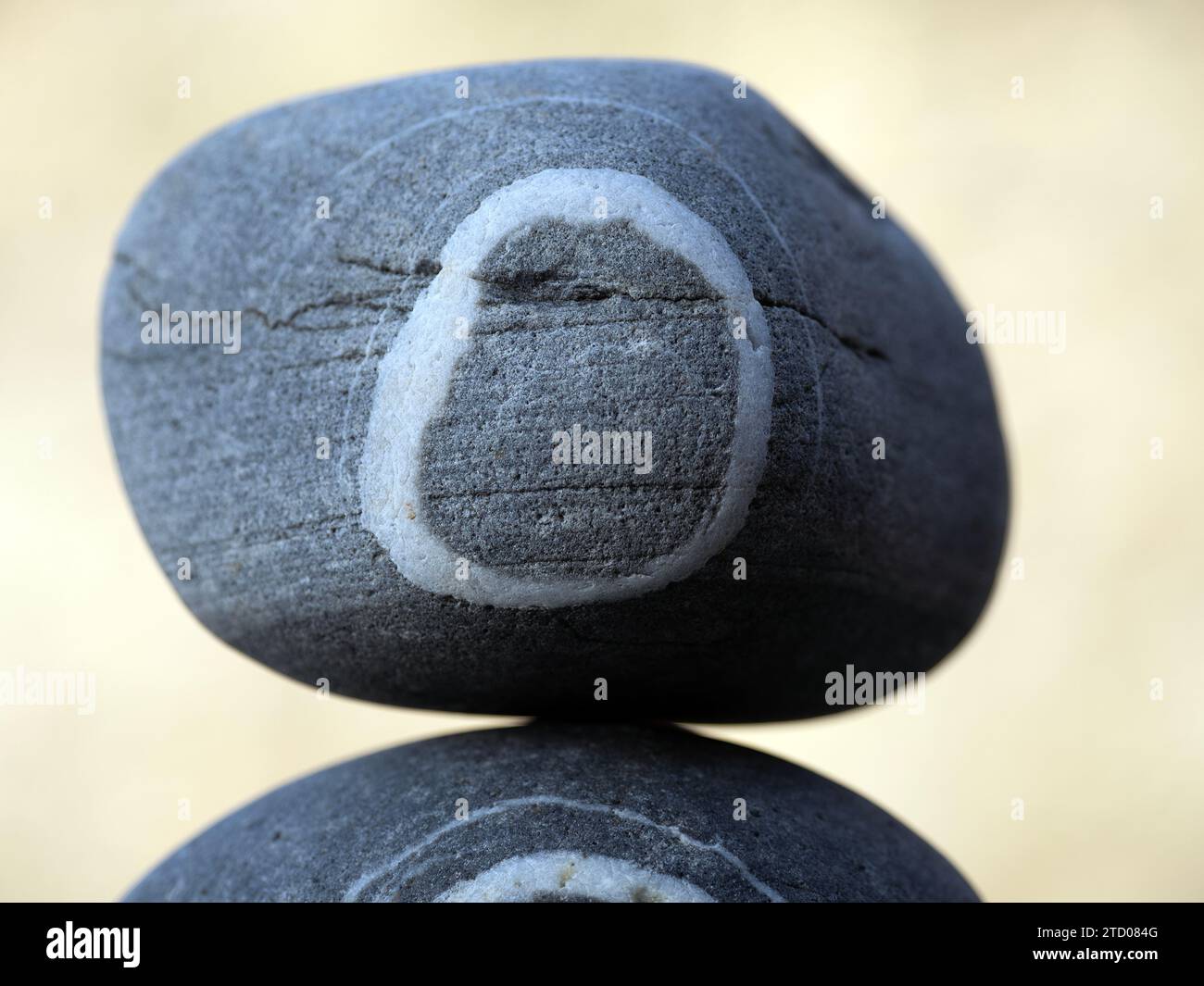 Rare Huge Wishing Stone with Beautiful Quartzite Line, Cavaleiro Stock ...