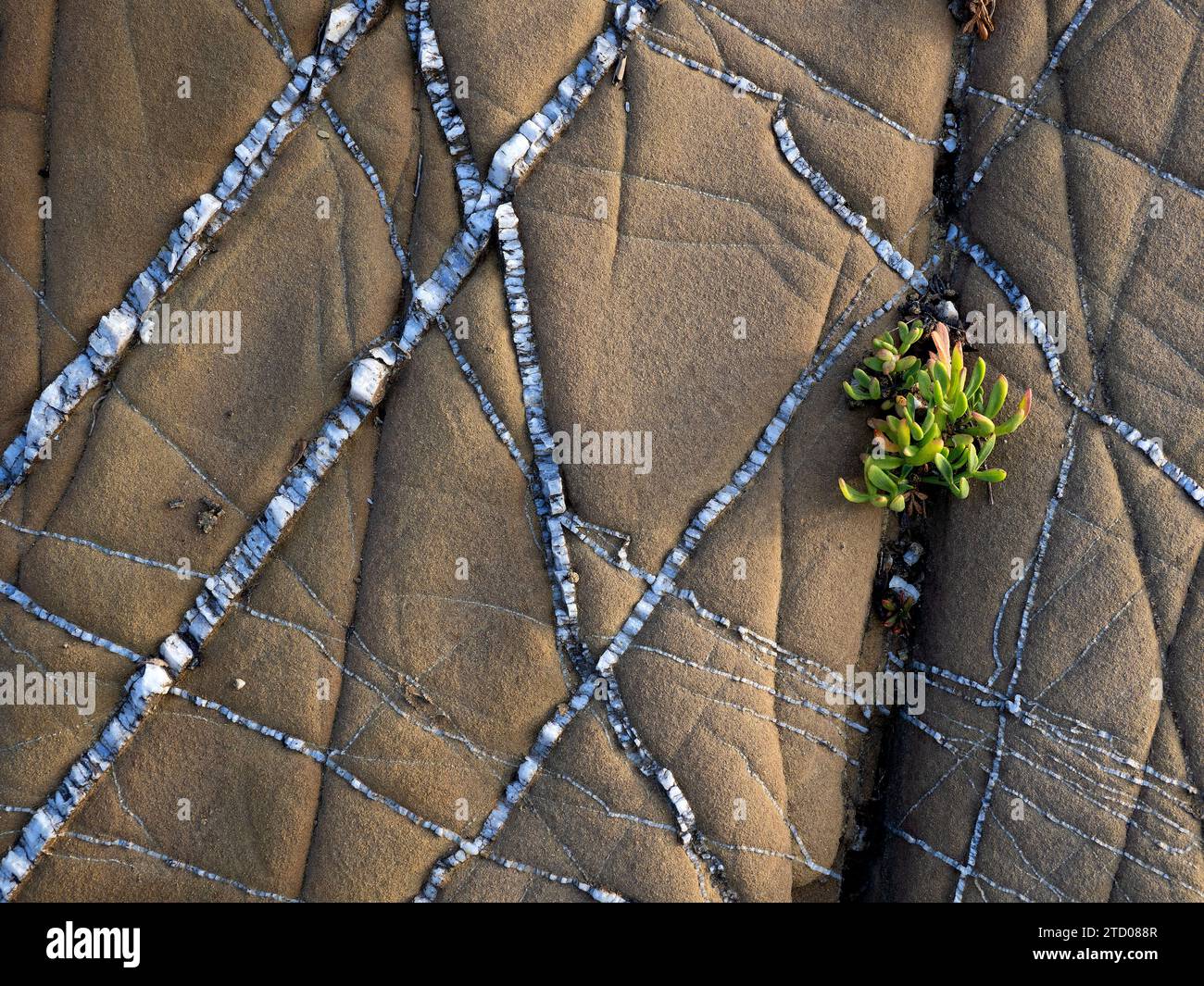 Rocks with quartz on the beach, Praia da Amoreira beach, Aljezur Stock ...