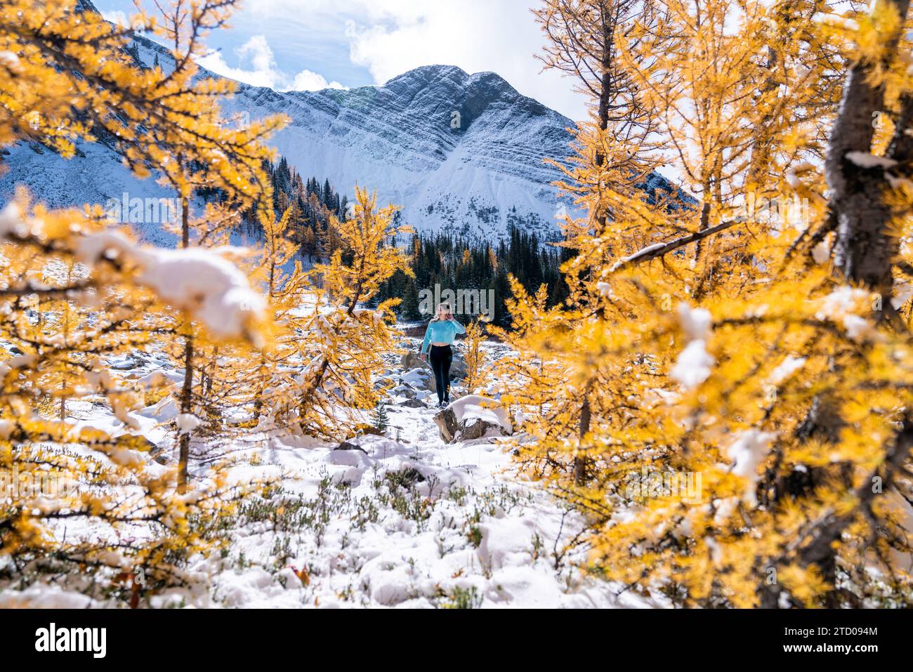 Hiking Through Fall Landscape In Mountains Stock Photo - Alamy