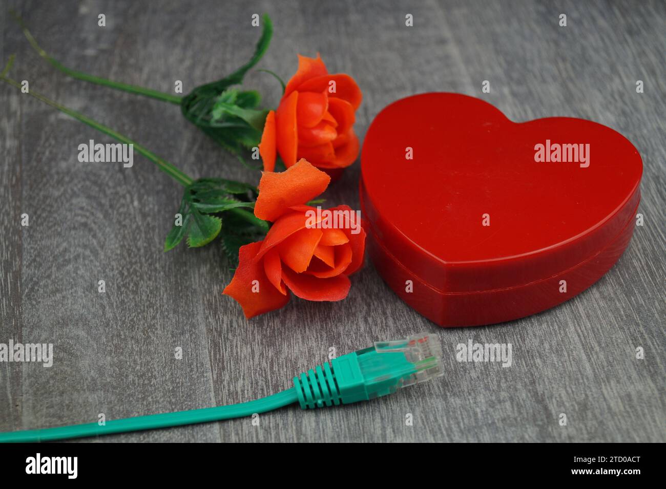 red heart and red roses with green internet cable, symbolic image of ...