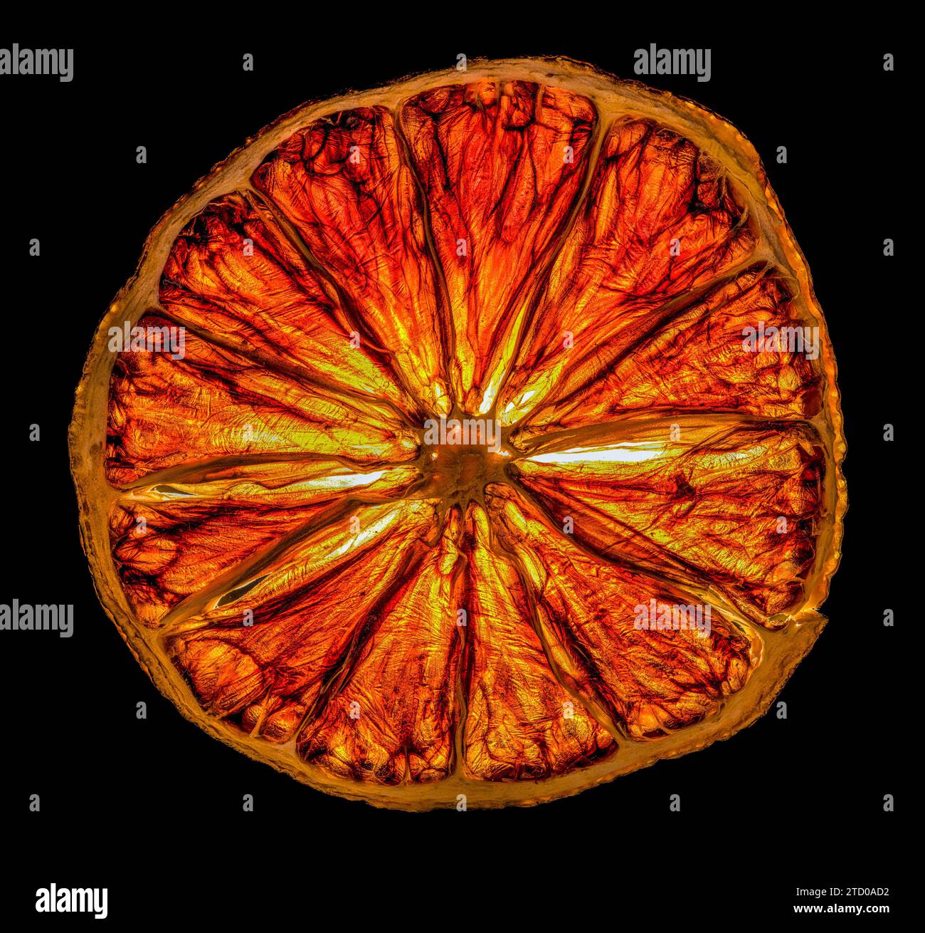 lemon (Citrus limon), dry lemon slice in backlight Stock Photo - Alamy