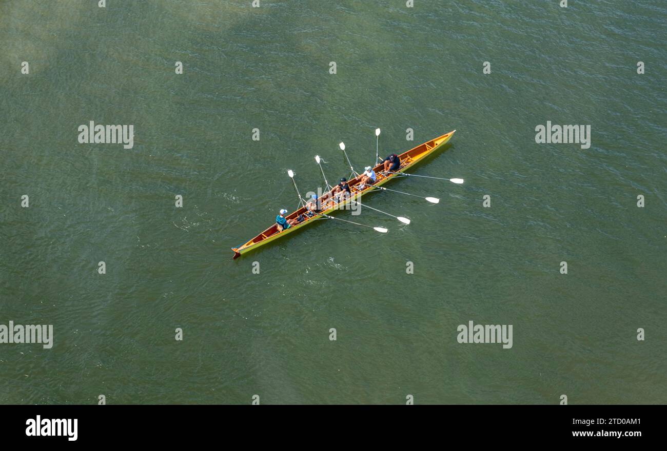 rowboat, coxed four, on river Neckar, aerial view, Germany, Baden-Wuerttemberg, Mannheim Stock ...