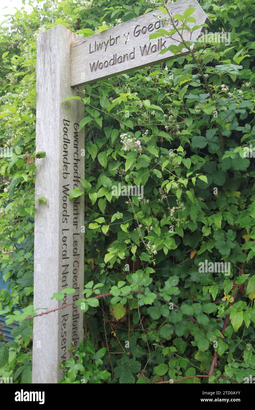 Wooden language sign hi-res stock photography and images - Alamy