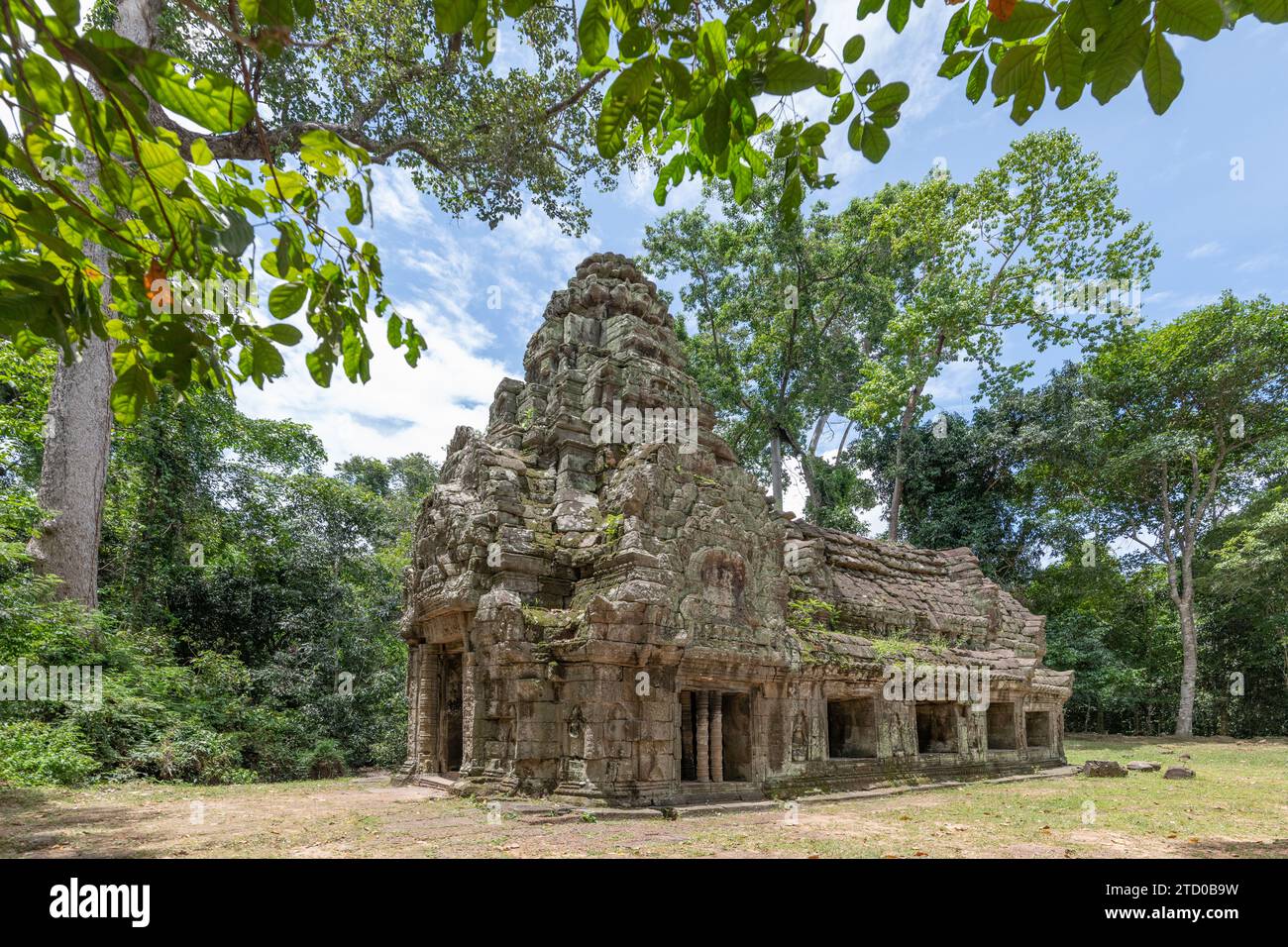 The weathered stone remnants of a historic Khmer temple, embraced by ...