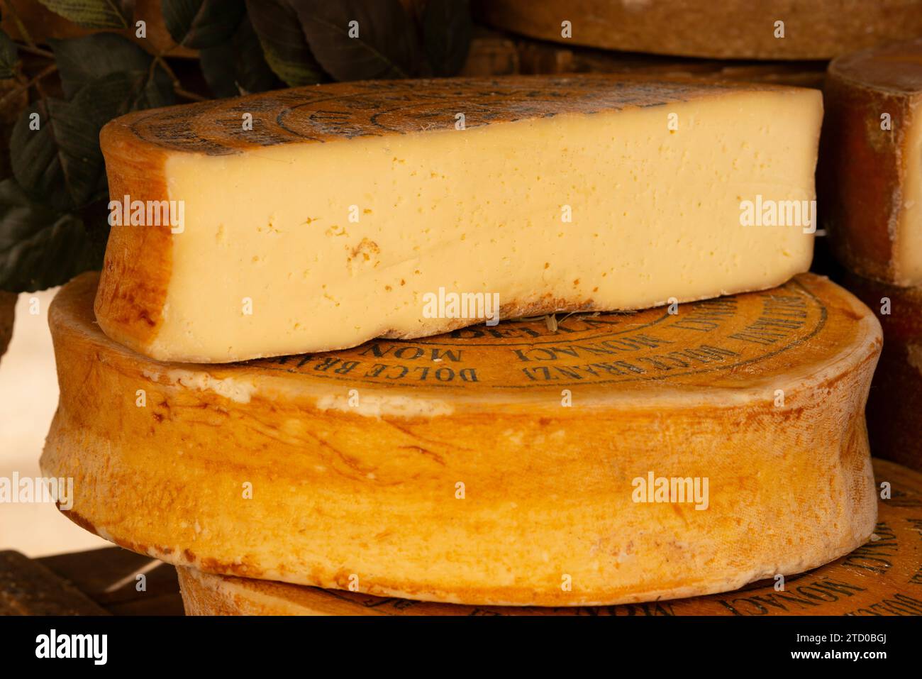 Branzi cheese hi-res stock photography and images - Alamy