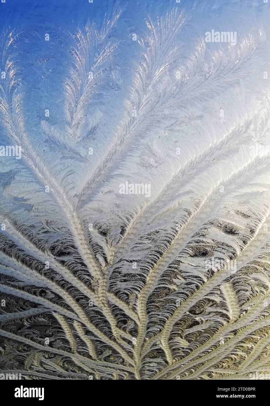 Frosted panel hi-res stock photography and images - Alamy