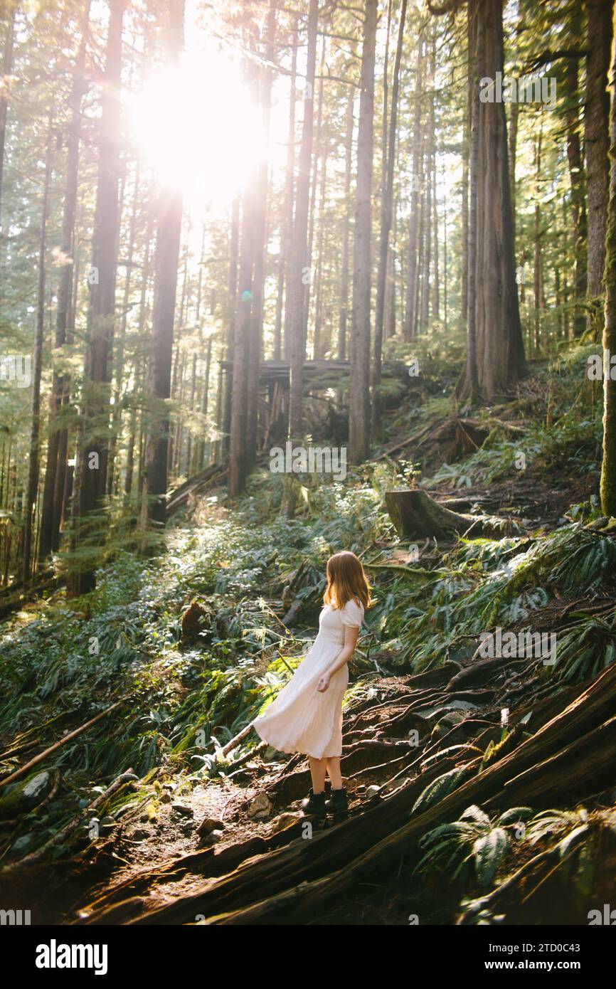 A young girl in a light dress wanders through a dense, sun-drenched ...