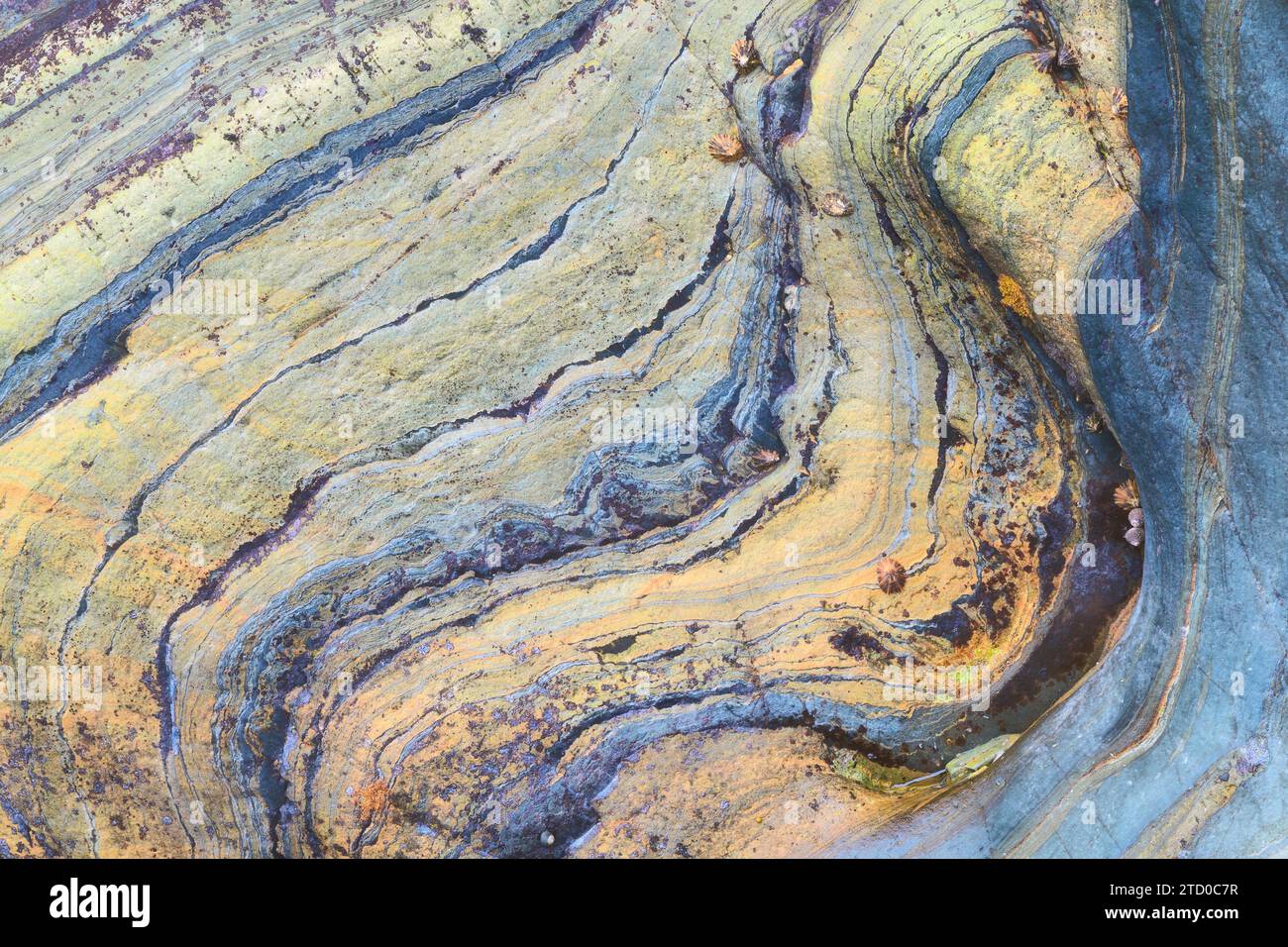 Stone rock layer texture patterns layers hi-res stock photography and ...