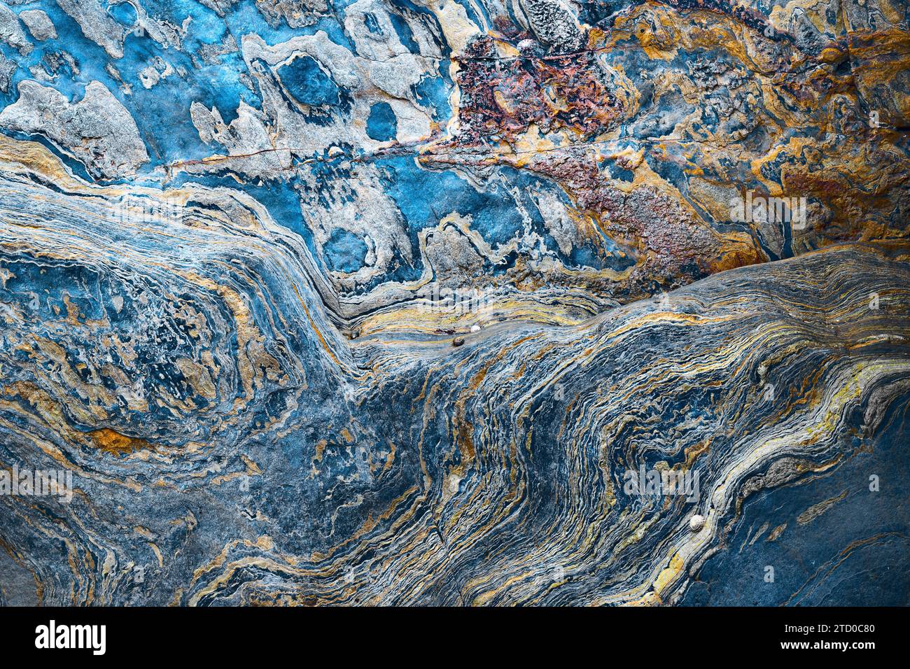 A high-resolution image capturing the intricate, colorful patterns ...