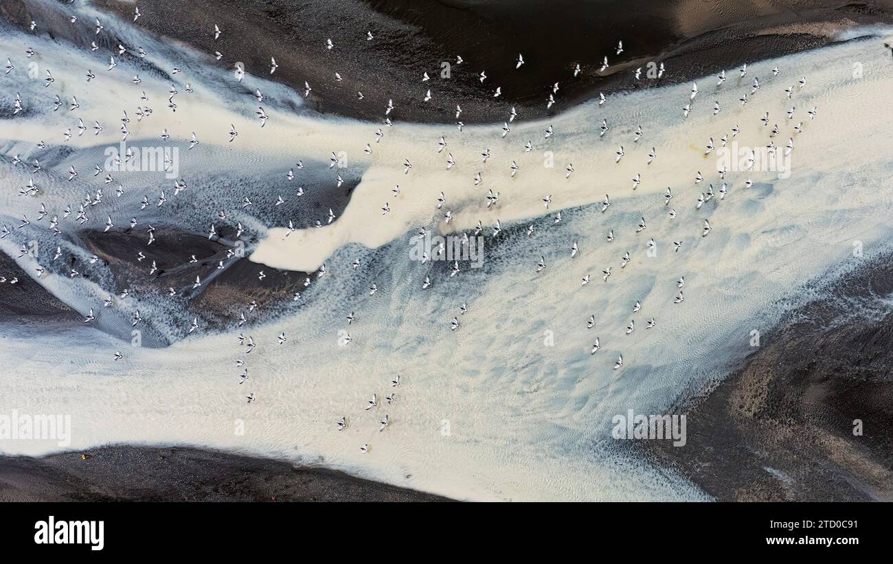 An aerial shot capturing the frozen beauty of a river basin in Iceland ...