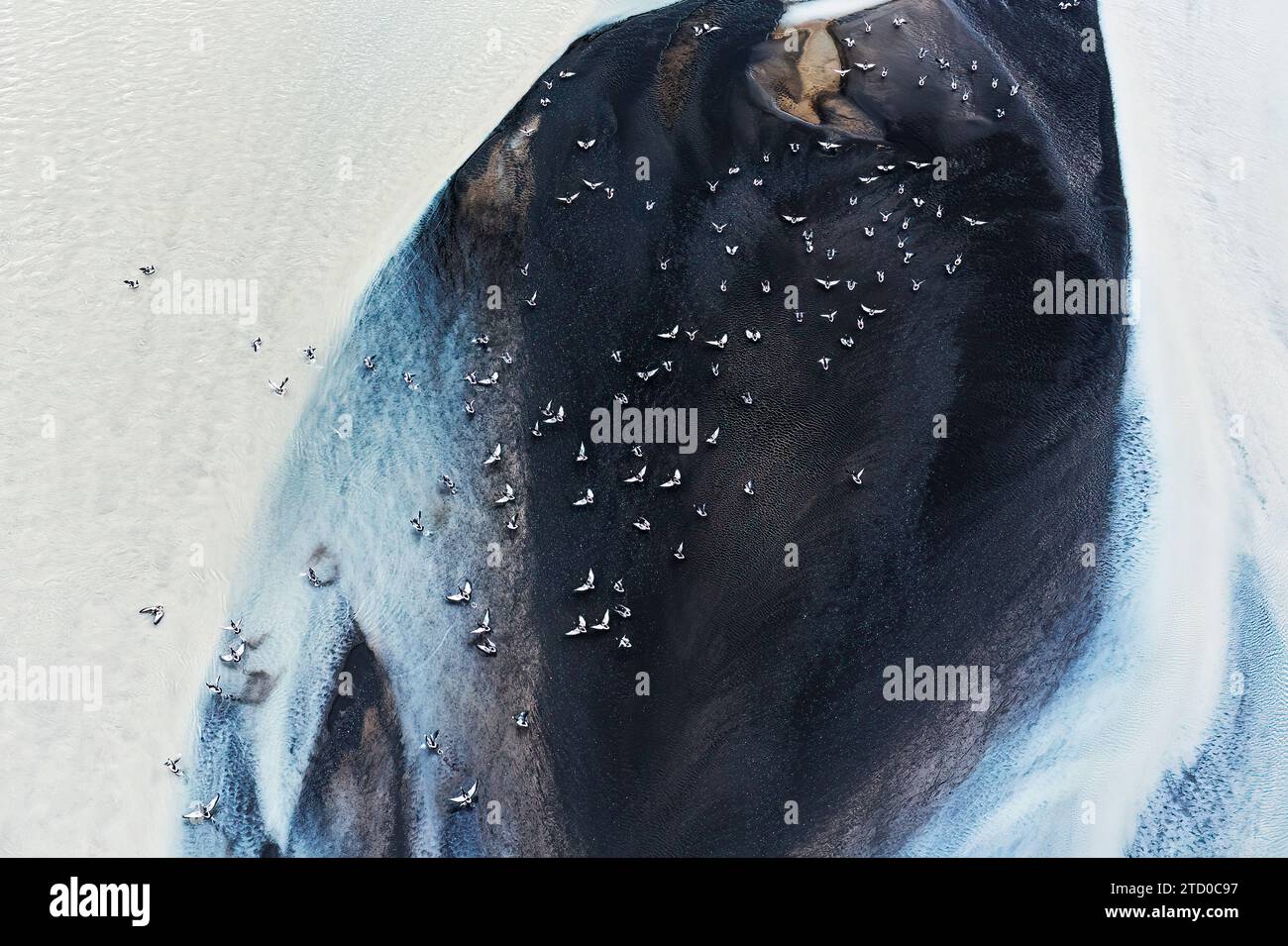 An aerial image capturing the stark contrast of a frozen river basin ...