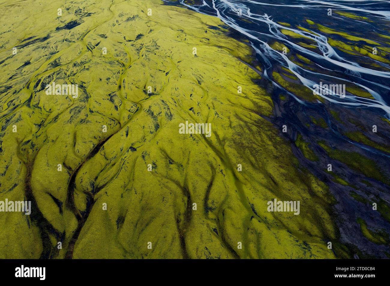 Aerial view of a moss-covered river basin in Iceland, showcasing the ...