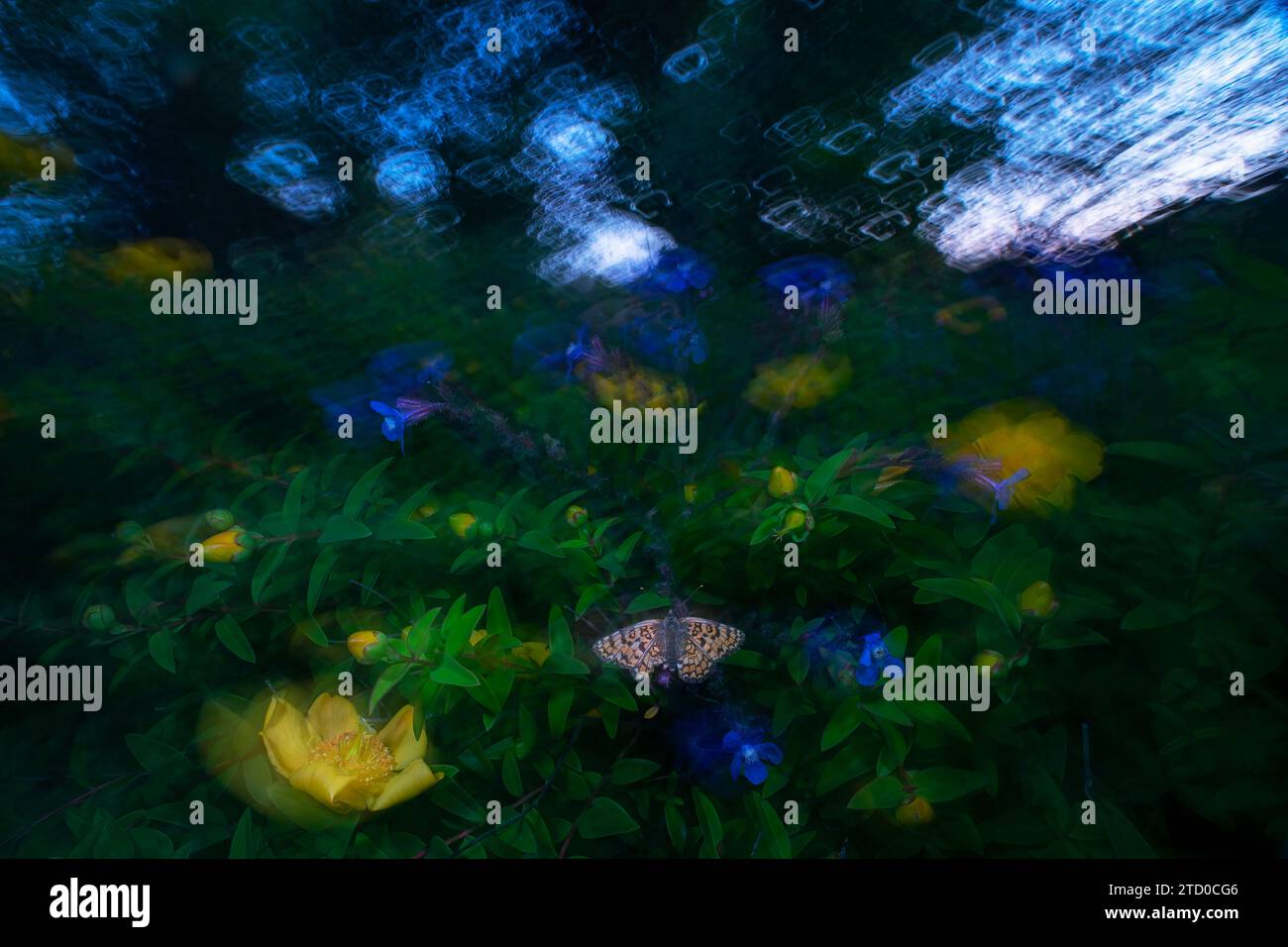 A dynamic blurred shot captures the essence of a colorful flower field ...