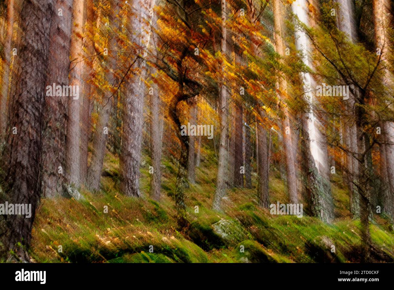 Long exposure captures the mystical dance of light and shadow in a ...