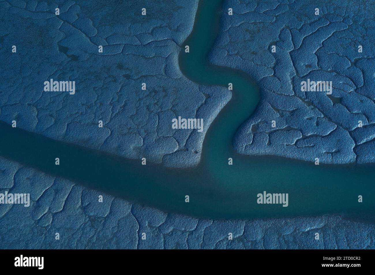 An intricate river snakes through the textured mudflats of Huelva's ...