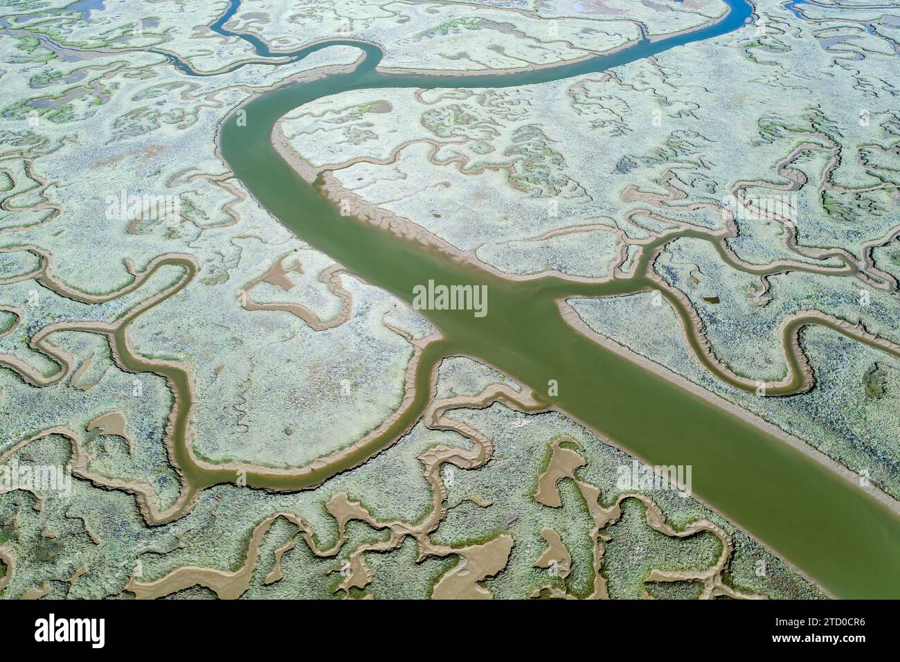 A bird's-eye view captures the sprawling, serpentine river channels ...