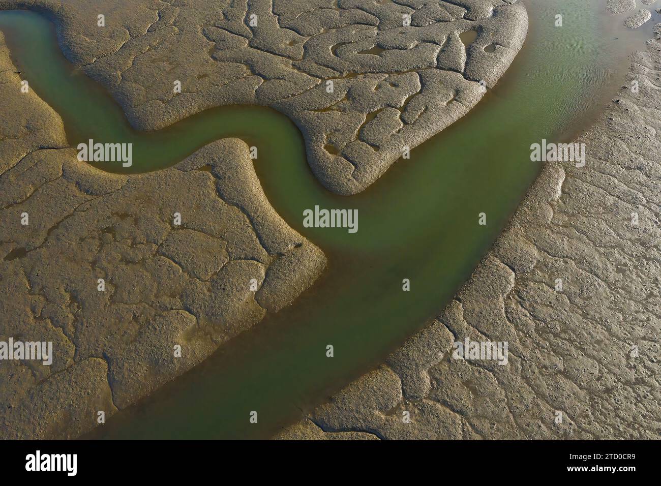 An intricate river snakes through the textured mudflats of Huelva's ...
