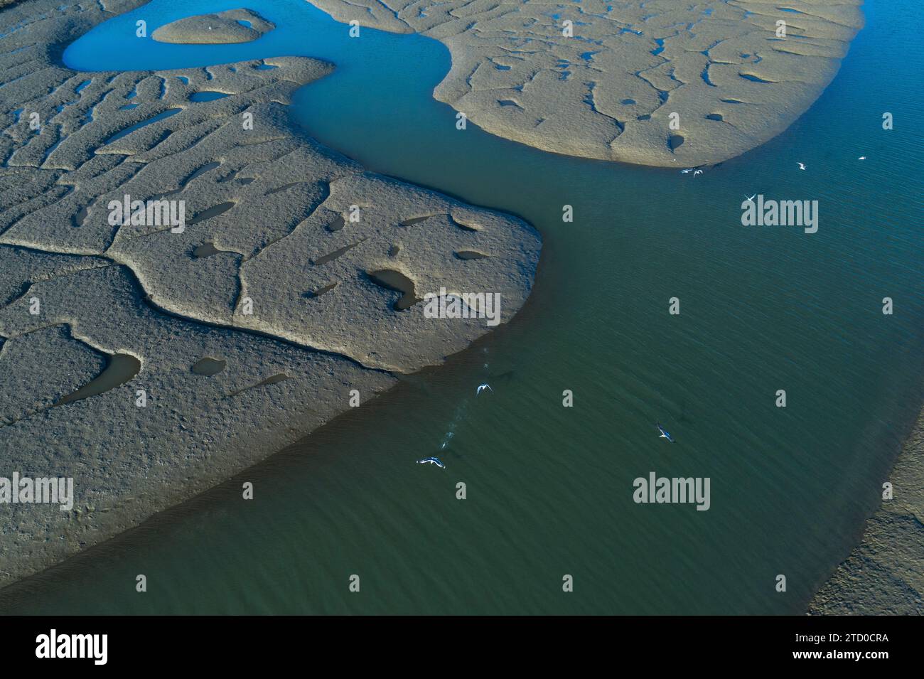 An intricate river snakes through the textured mudflats of Huelva's ...