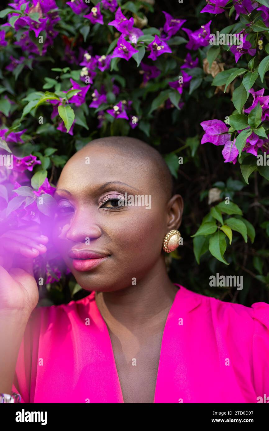 Shaved bush hi-res stock photography and images - Alamy