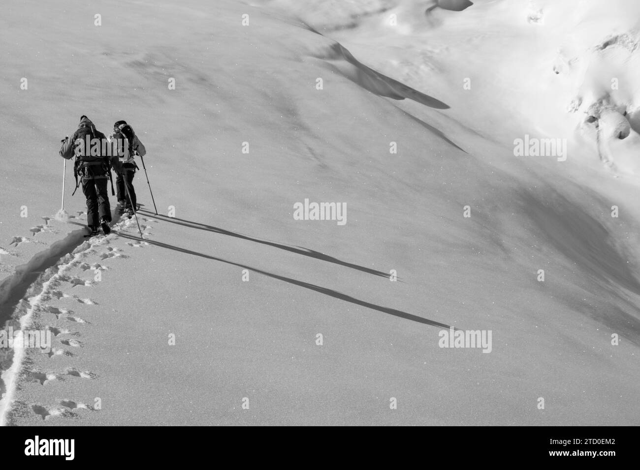 Back view anonymous people Black and White Stock Photos & Images - Alamy