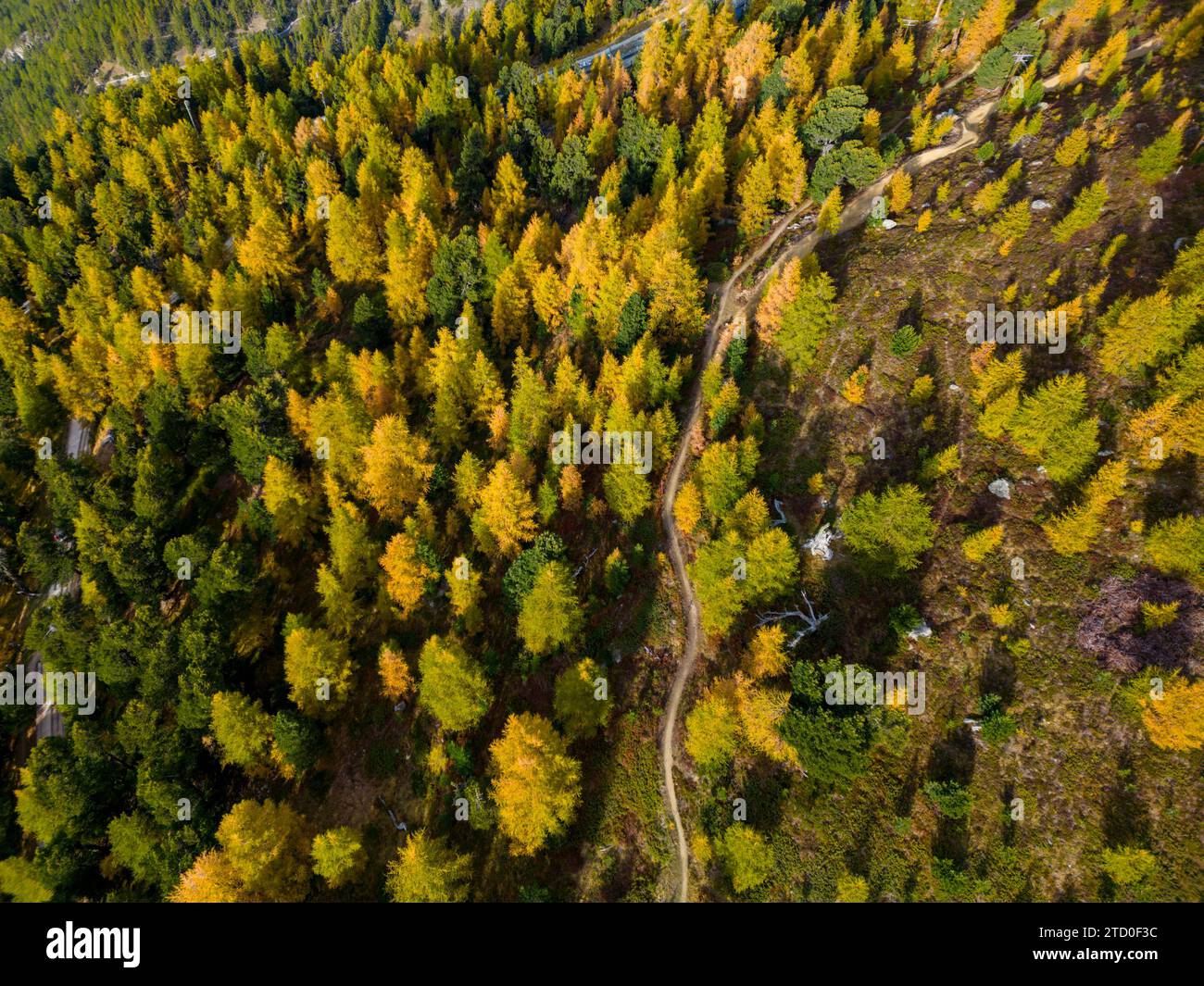 Dense serpentine pattern hi-res stock photography and images - Alamy