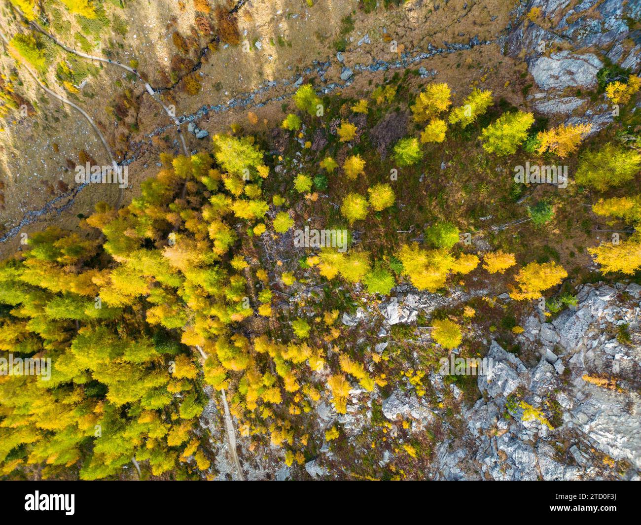 Top-down aerial view capturing the vibrant colors of an autumn forest ...