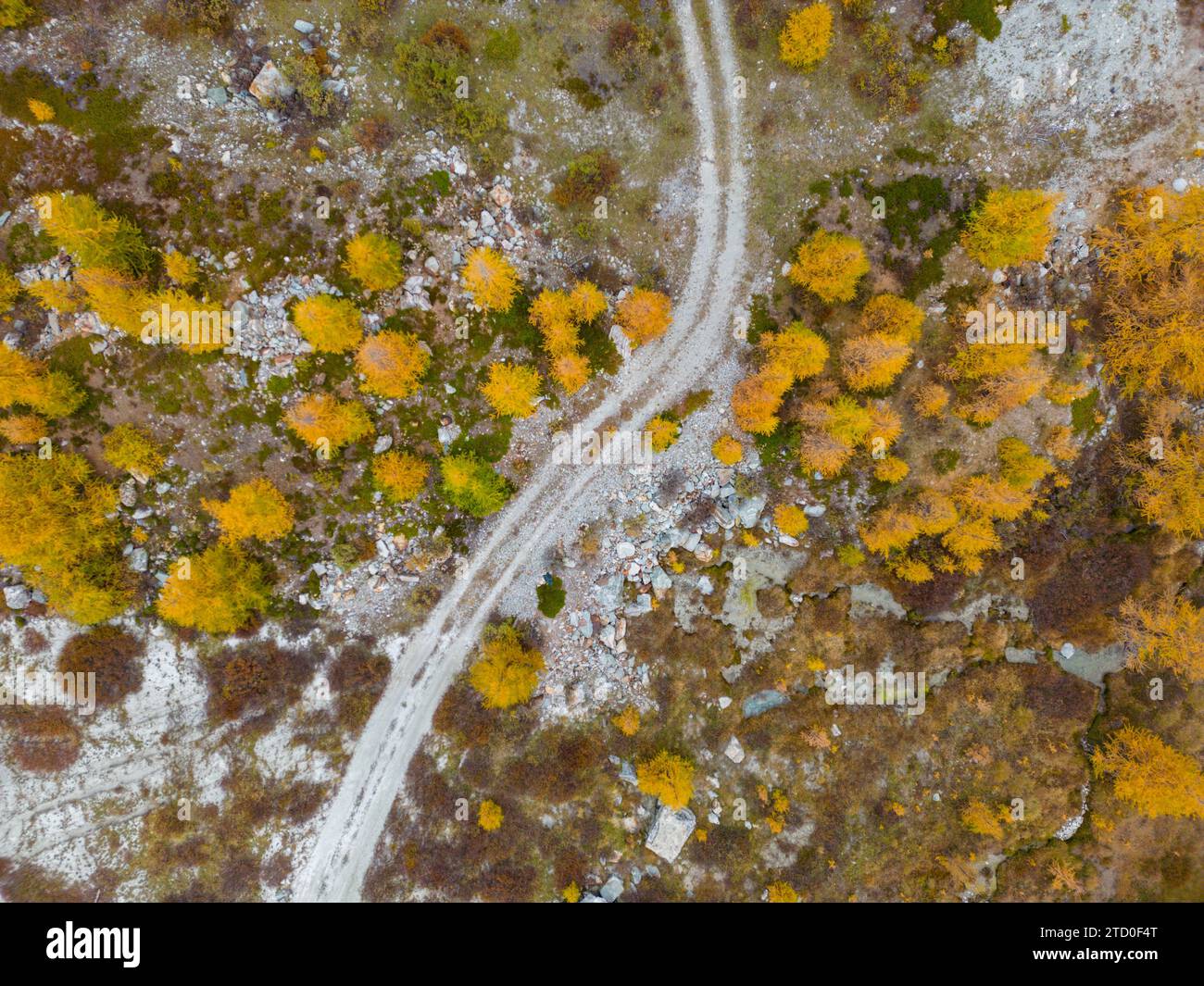 An aerial shot captures a winding path surrounded by the warm colors of ...