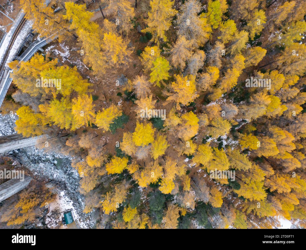 Overhead view capturing the vibrant autumn colors of a lush Swiss ...