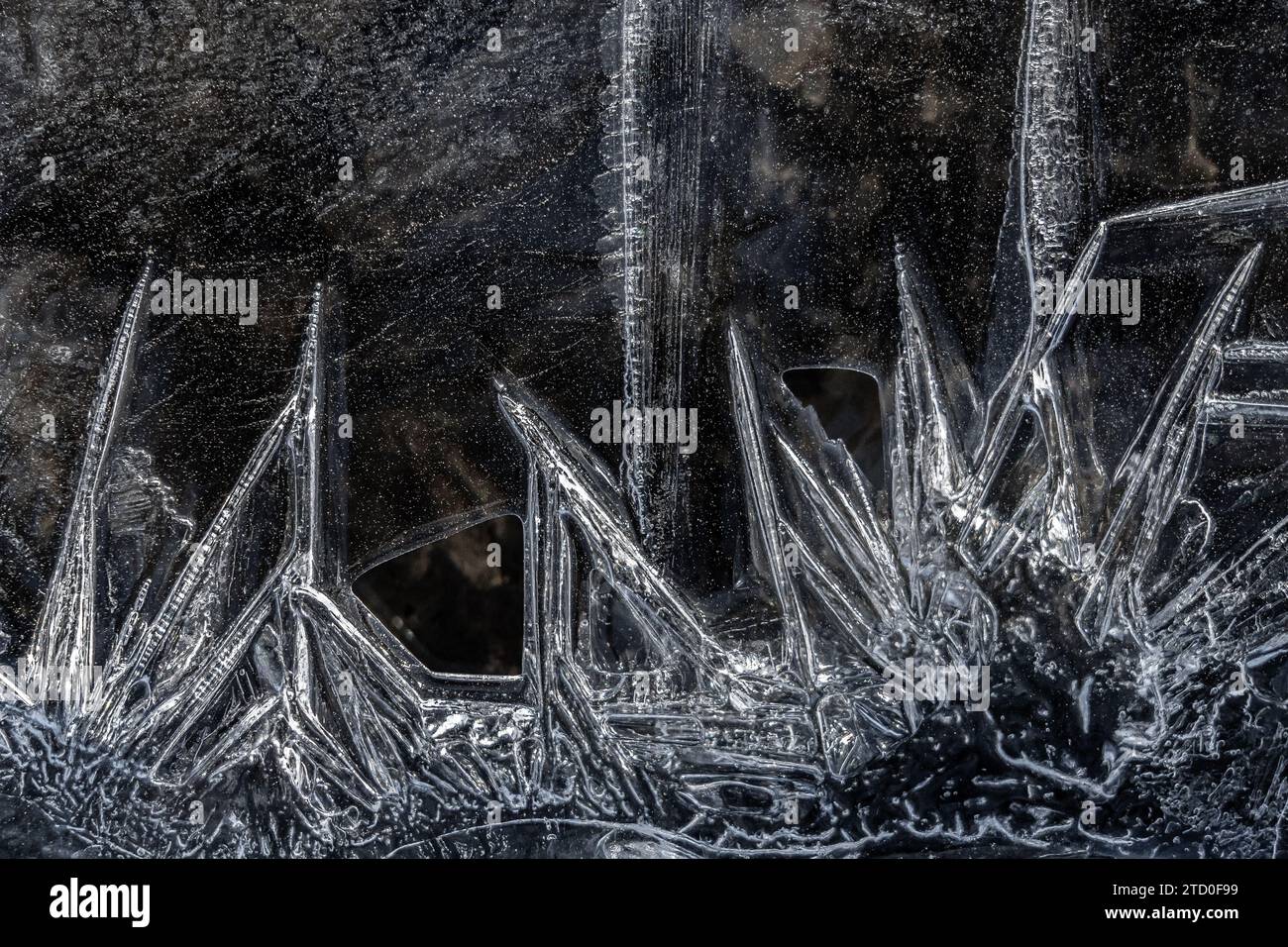 A close-up photo capturing the delicate intricacy of ice crystals ...