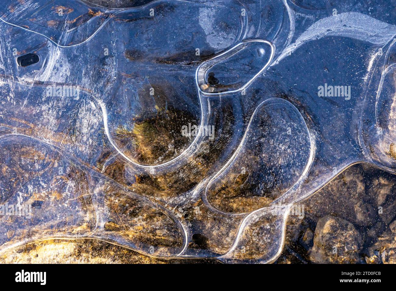 A detailed close-up of a frozen surface showcasing intricate ice ...