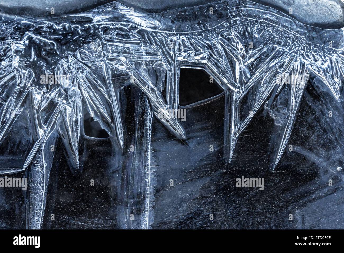 A close-up view of the captivating patterns formed by ice crystals on a ...