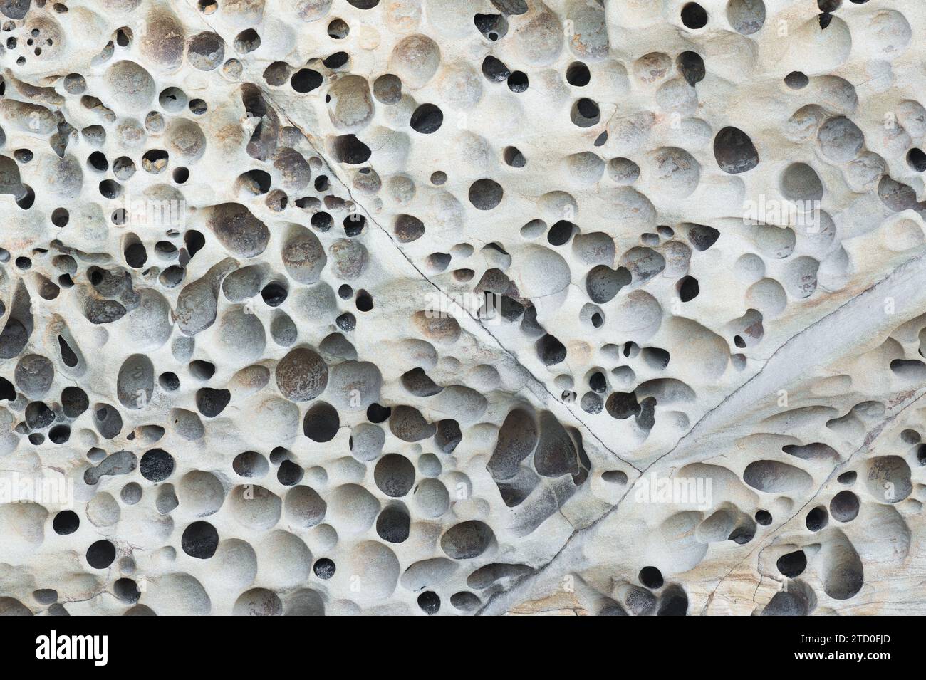 Close-up texture of weathered honeycomb rock formations with organic ...