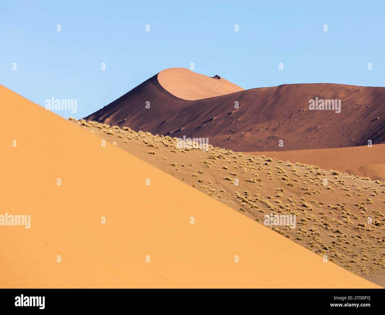 The Namibian landscape showcases a breathtaking harmony of form as ...
