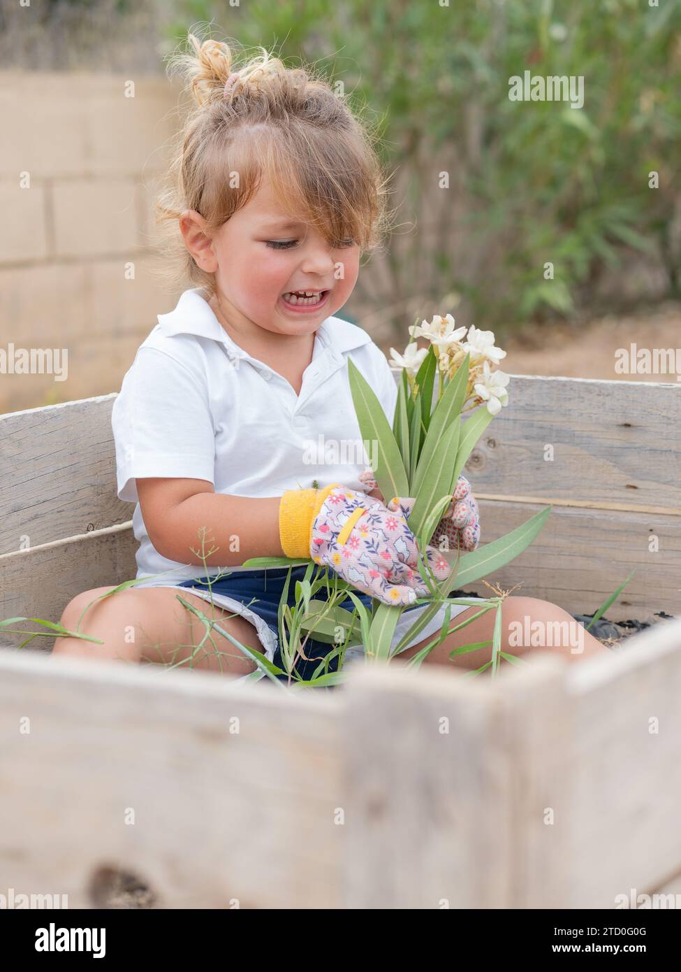 Cute boy in casuals and gloves crying while sitting with bunch of fresh ...