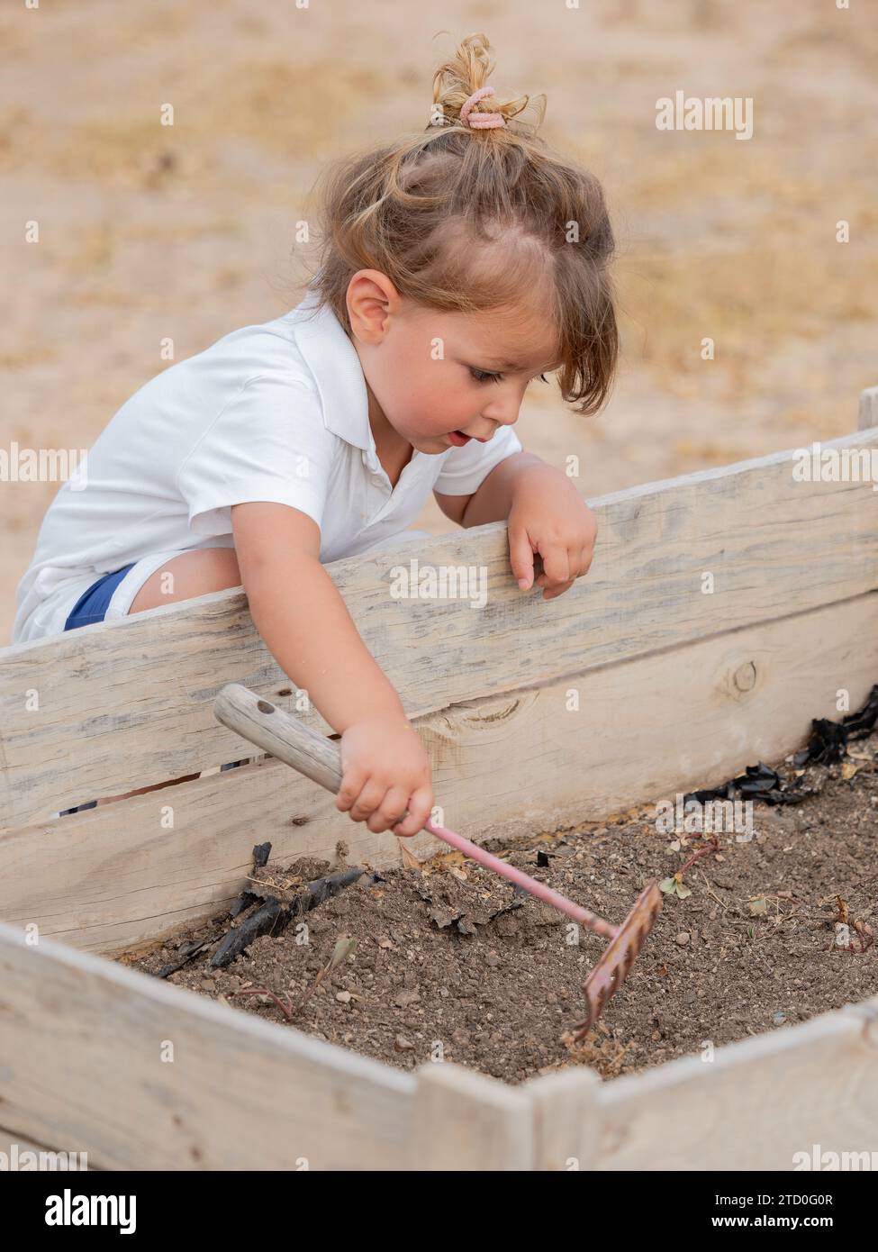 Side view of Cute little boy using hand rake on soil in raised garden ...