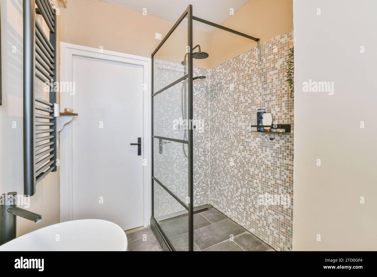 Shower booth and sink in lavish bathroom of modern home with toiletries ...