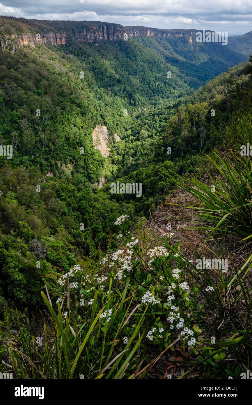 A view down the Yarrunga Creek Valley from Twin Falls Lookout, Morton ...