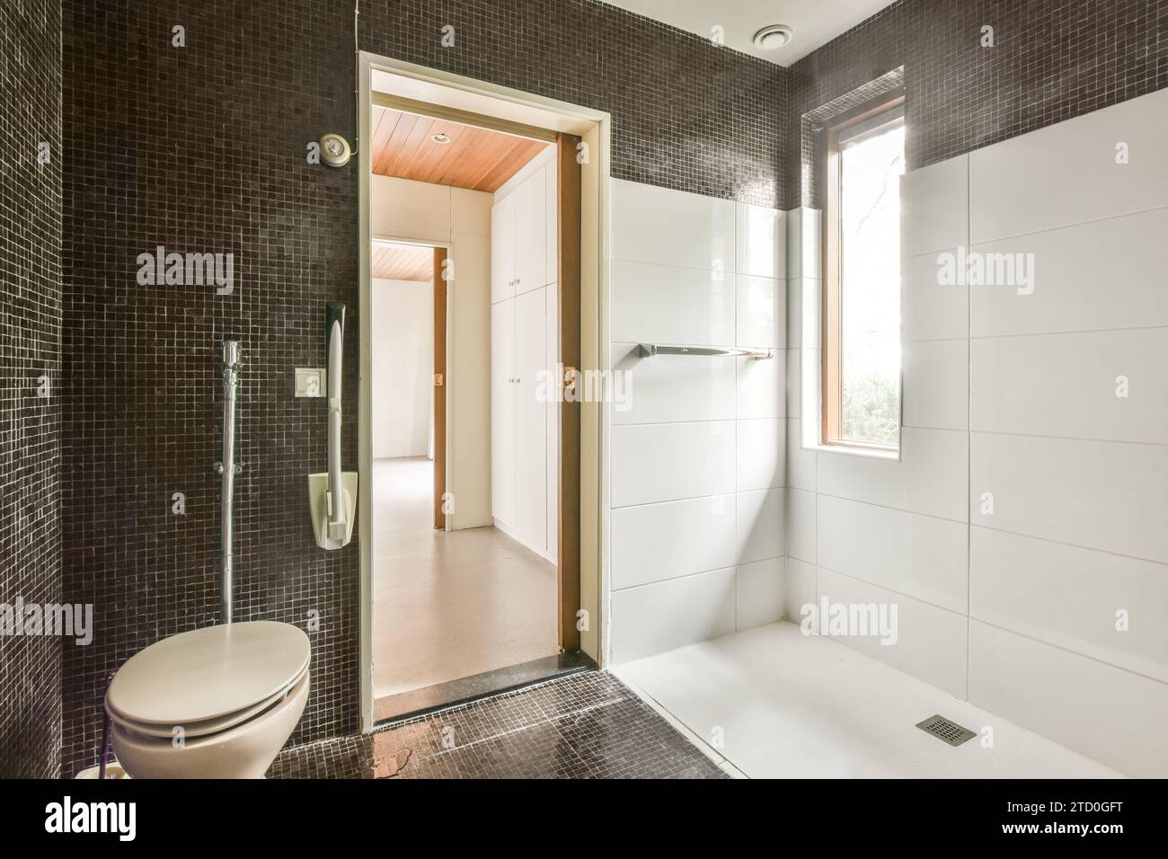 Shower booth with window besides doorway and toilet bowl in spacious ...