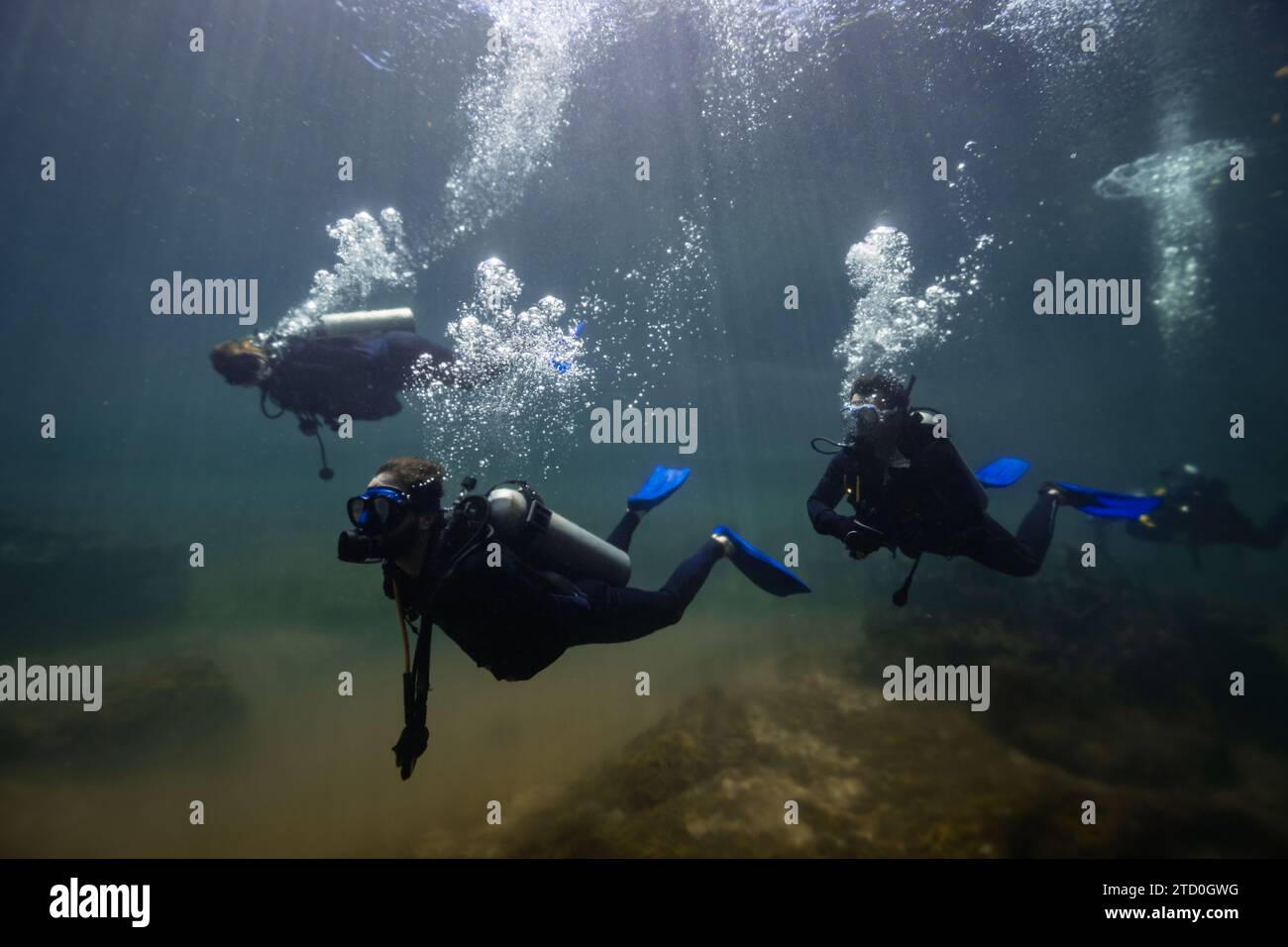 Scuba divers embark on an underwater adventure amidst the serene ...