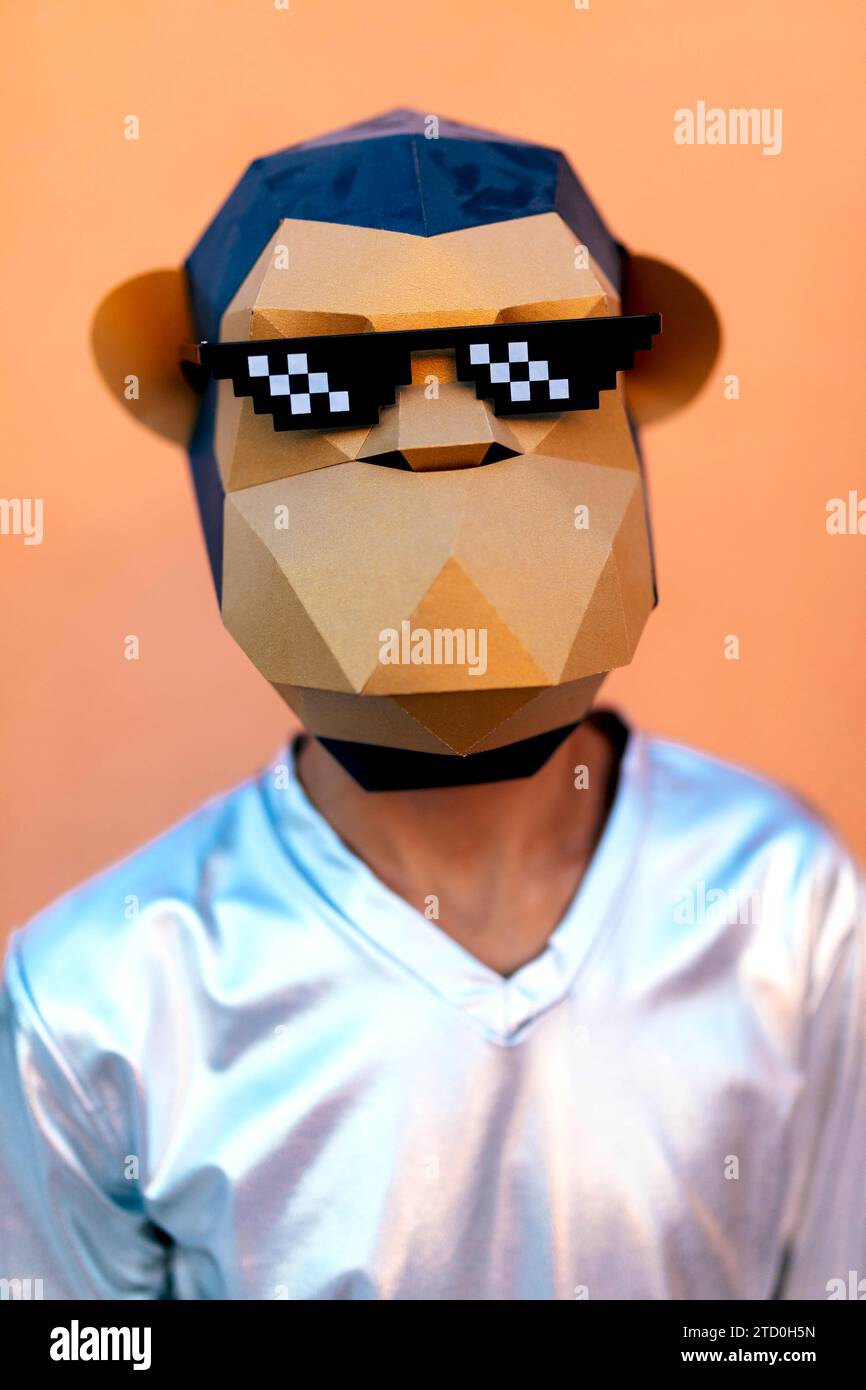 Anonymous male in silver V neck shirt and monkey mask with pixel party ...