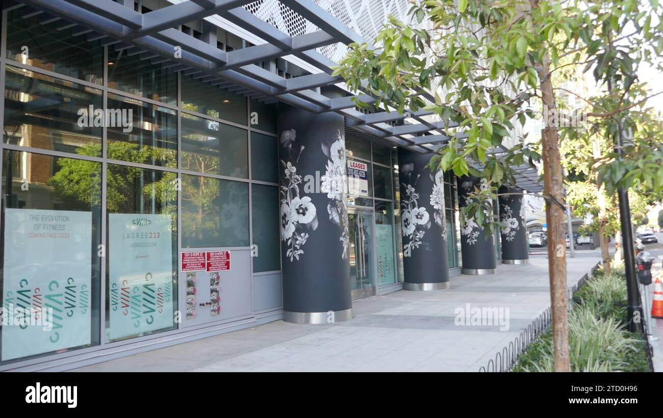 Los Angeles, California, USA 13th December 2023 Hope and Flower ...