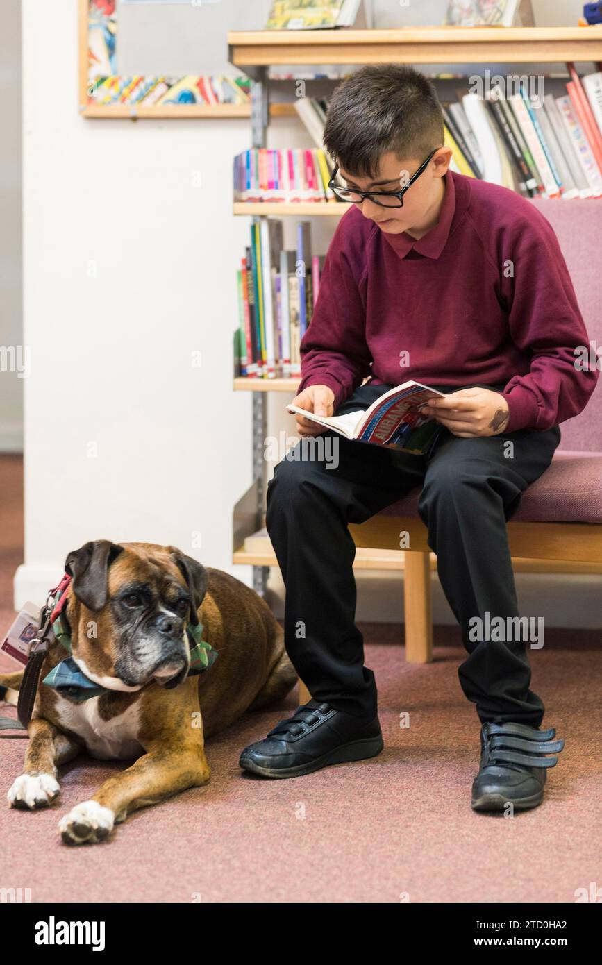 Dog classroom hi-res stock photography and images - Alamy
