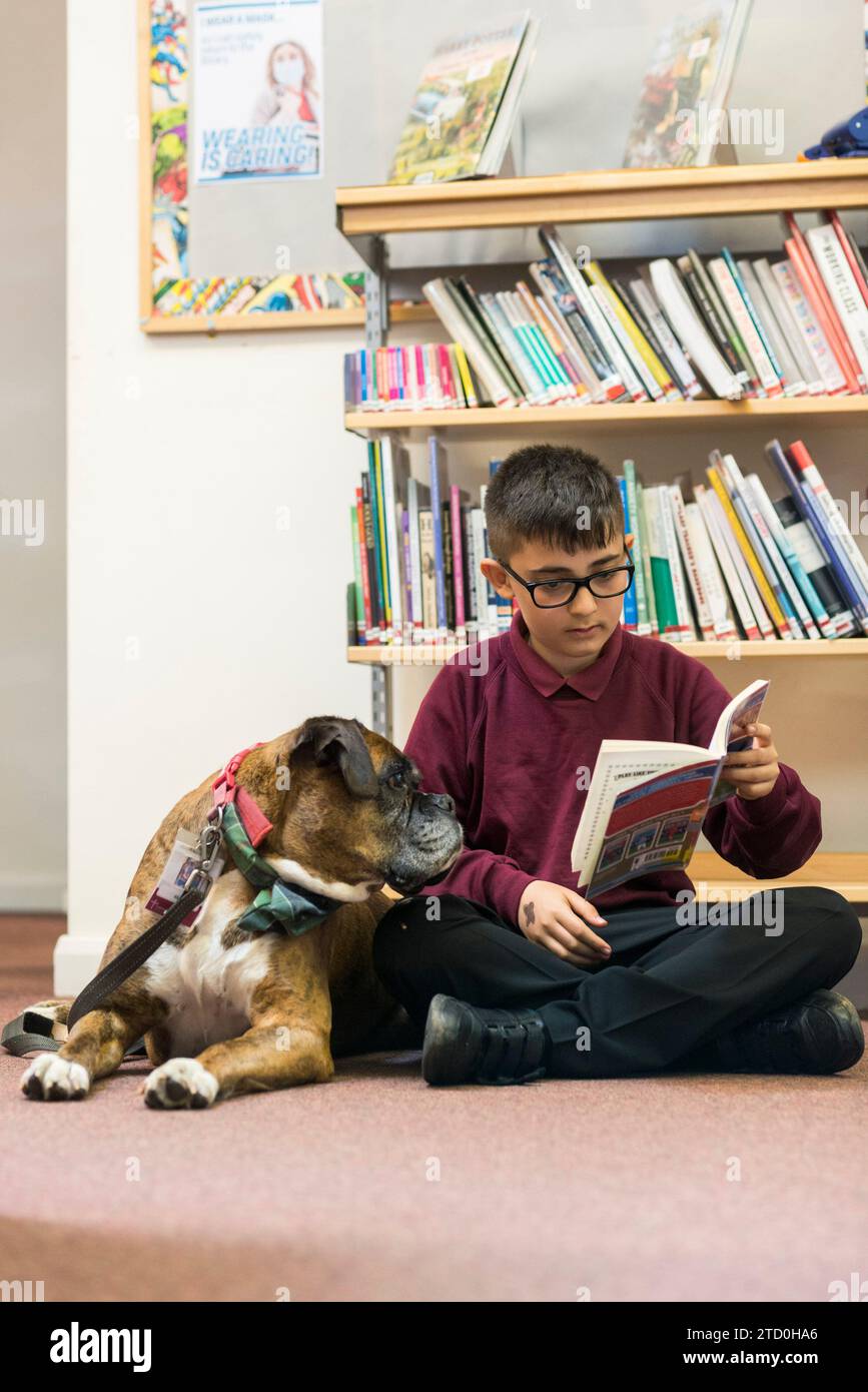 A young male student sits on the floor of the school library reading a book to the school ...