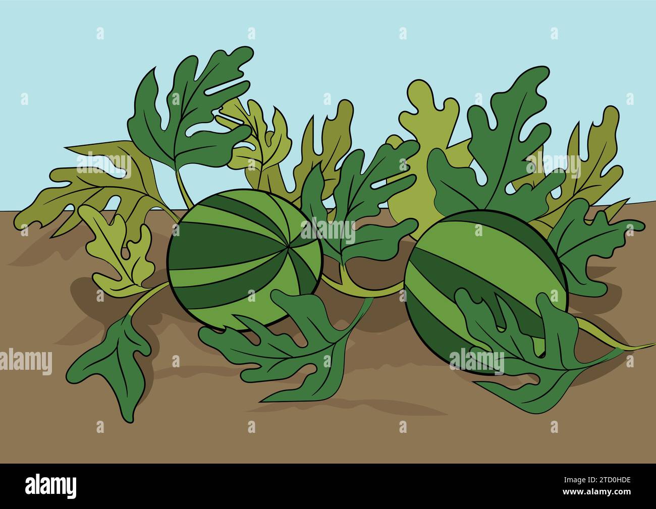 Watermelon fruit with melon Stock Vector Images - Alamy