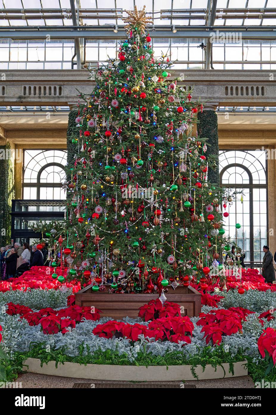 large decorated tree; elaborate Christmas display; glass ceiling ...