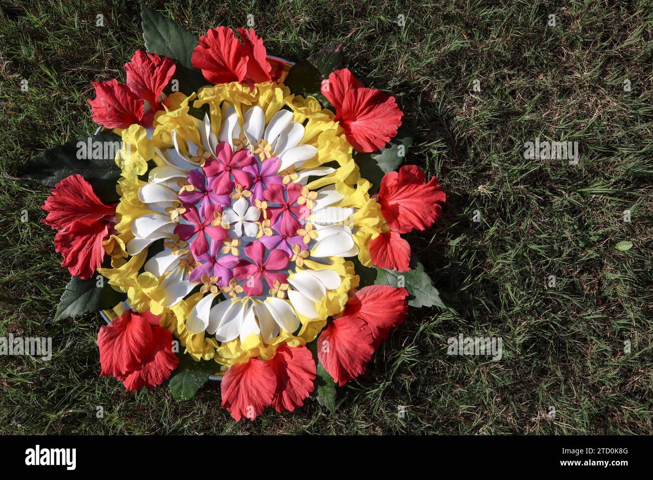 Beautiful flower rangoli also used as aarti thali decorated on pooja ...