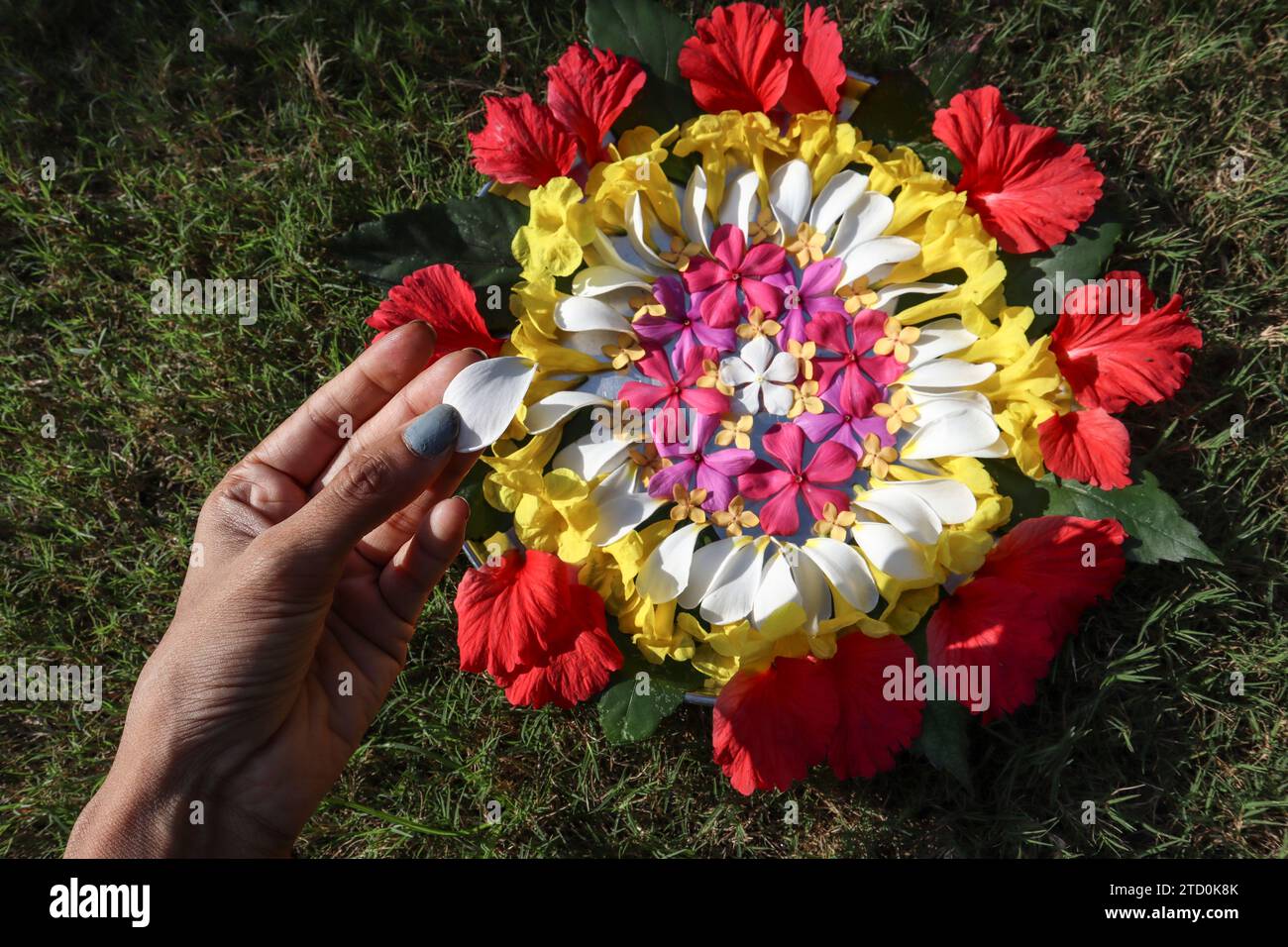 Beautiful flower rangoli also used as aarti thali decorated on pooja ...