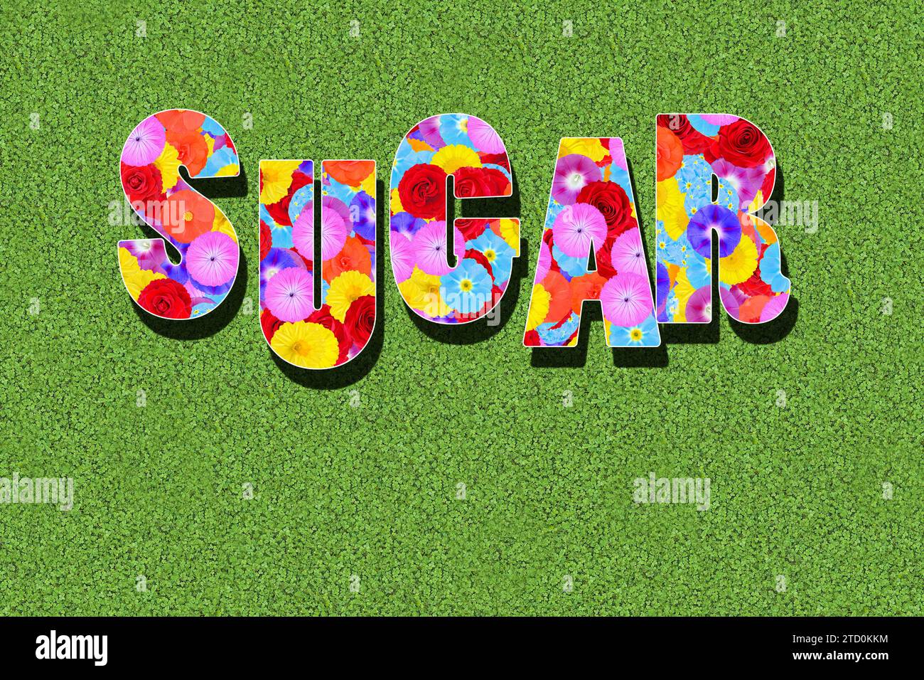the word, pet name, Sugar, written with colourful flowers on a green ...