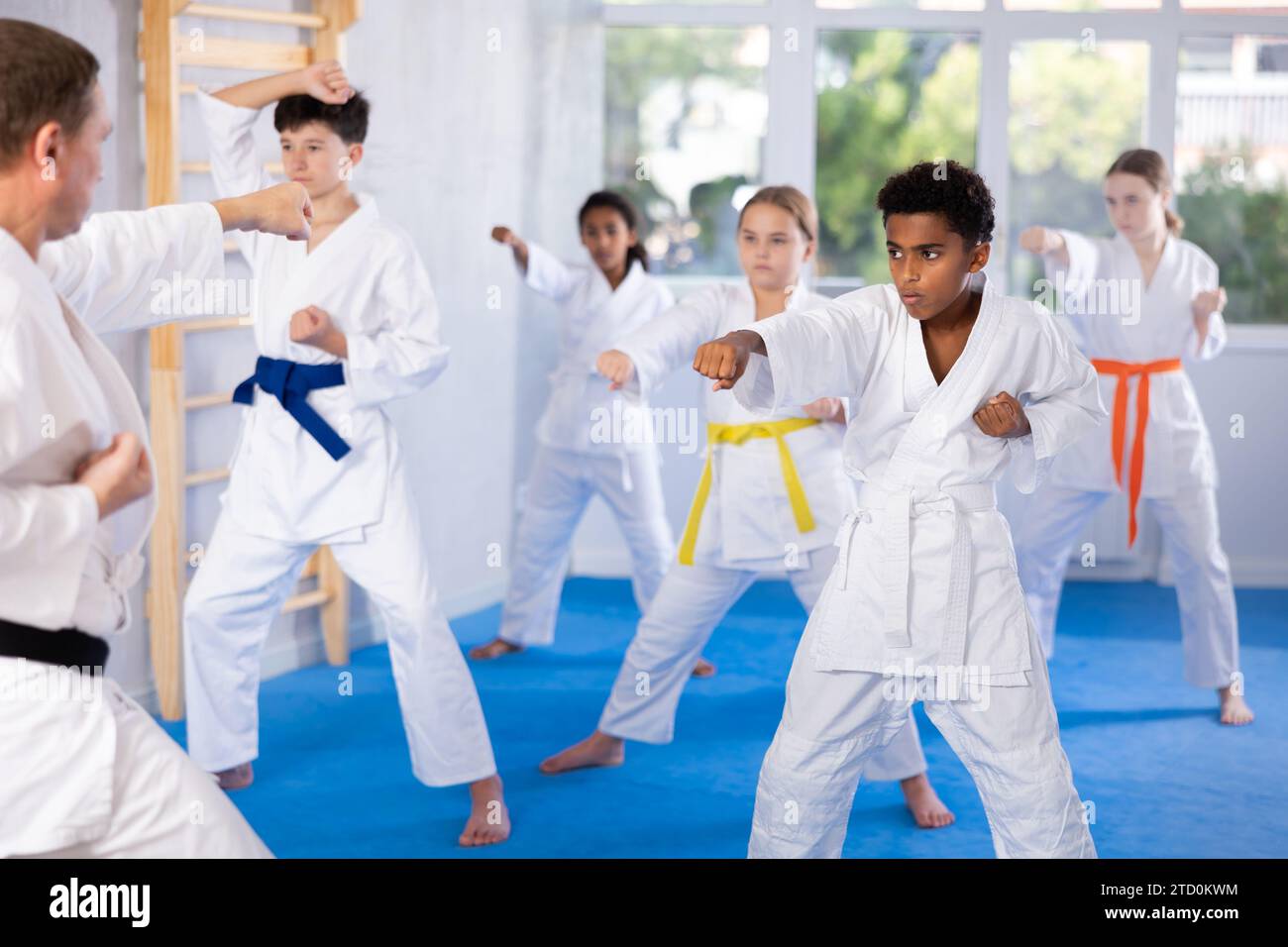 Group of children train karate techniques Stock Photo - Alamy